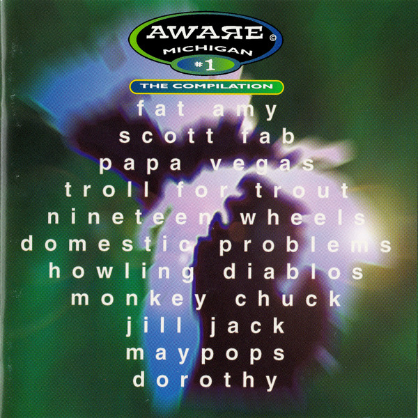 Various – Aware Michigan: The Compilation #1 (CD-Used) – Vals halla Records